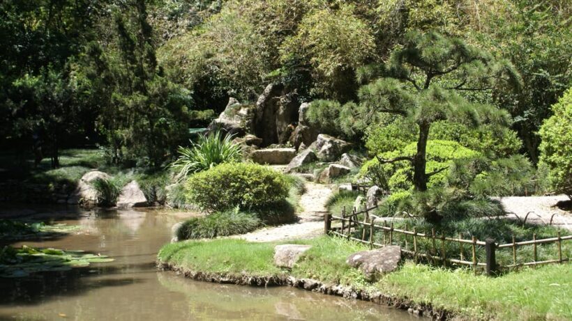 Rio de Janeiro: Botanical Garden Guided Visit - Exploring the Heart of Rio’s Botanical Garden