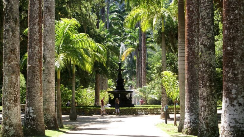 Rio de Janeiro: Botanical Garden Guided Visit - Final Thoughts