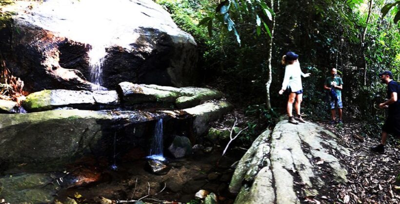 Rio de Janeiro: Christ the Redeemer Guided Hike - Key Points