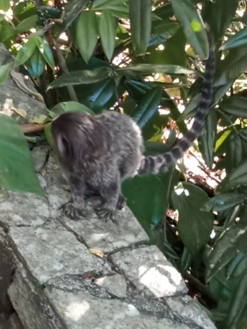 Rio de Janeiro: Cristo Redentor & Pão de Açúcar - Discovering Rio’s Icons: The Tour Overview