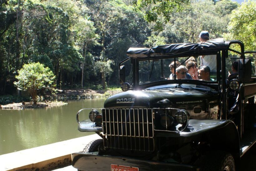 Rio de Janeiro: Guided Jeep Tour through Tijuca Rainforest - An In-Depth Look at the Tijuca Jeep Tour Experience
