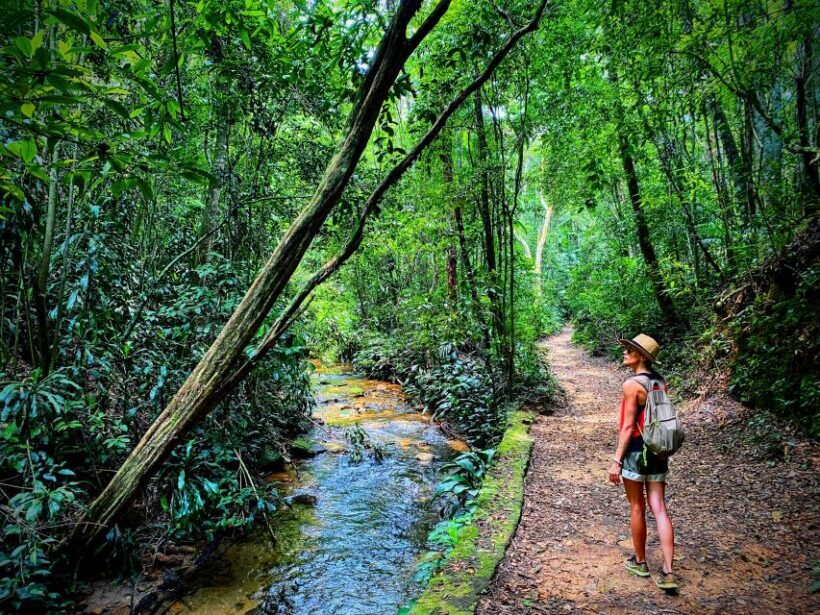 Rio de Janeiro Nature Secrets 'The Eco Citytour' - A Closer Look at the Itinerary