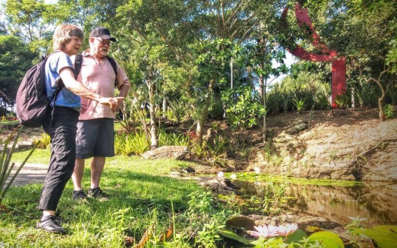 Rio de Janeiro Nature Secrets 'The Eco Citytour' - The Value of This Tour