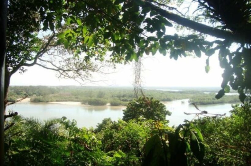 Rio de Janeiro: Prainha and Grumari Beach Tour - Key Points