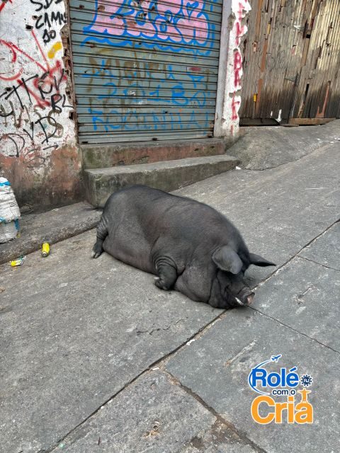 Rio de Janeiro: Rocinha Favela guided tour - The Reality of the Rocinha Favela Tour