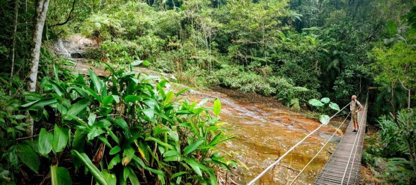 Rio de Janeiro: Tijuca Forest Challenge Hike Full-Day Trip - The Sum Up