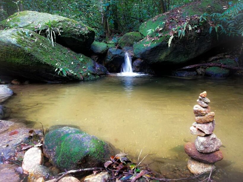 Rio de Janeiro: Tijuca Forest Waterfall of Souls Hike - FAQ