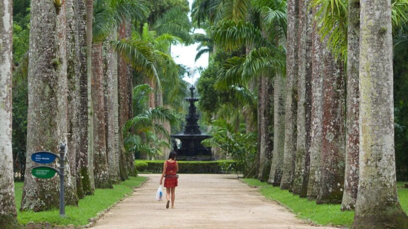 Rio de Janeiro: Tijuca National Park & Botanic Garden Tour - Key Points