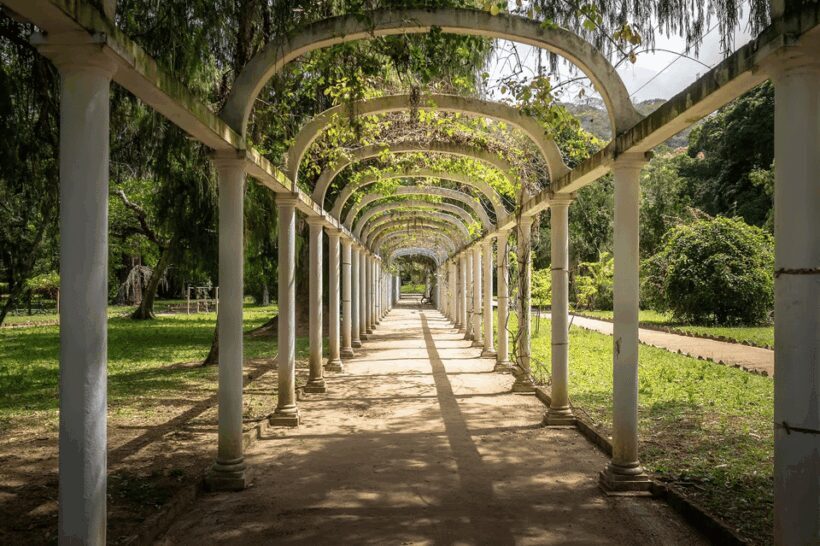 Rio de Janeiro: Tijuca National Park & Botanic Garden Tour - What to Expect from This Tour