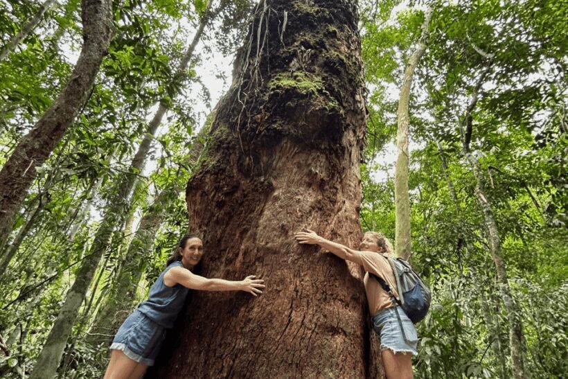 Rio de Janeiro: Tijuca National Park Tour - Discovering Tijuca National Park: An Overview