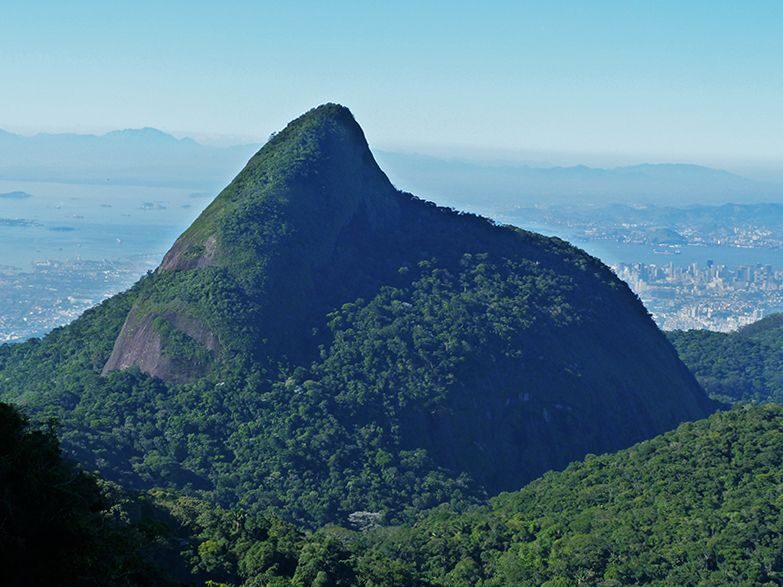 Rio de Janeiro: Tijuca Peak Guided Hike - The Value of the Tour