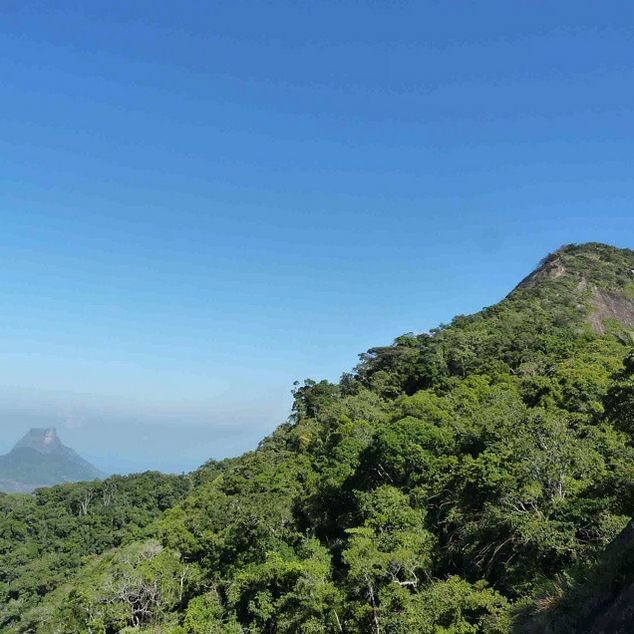 Rio de Janeiro: Tijuca Peak Guided Hike - Final Thoughts