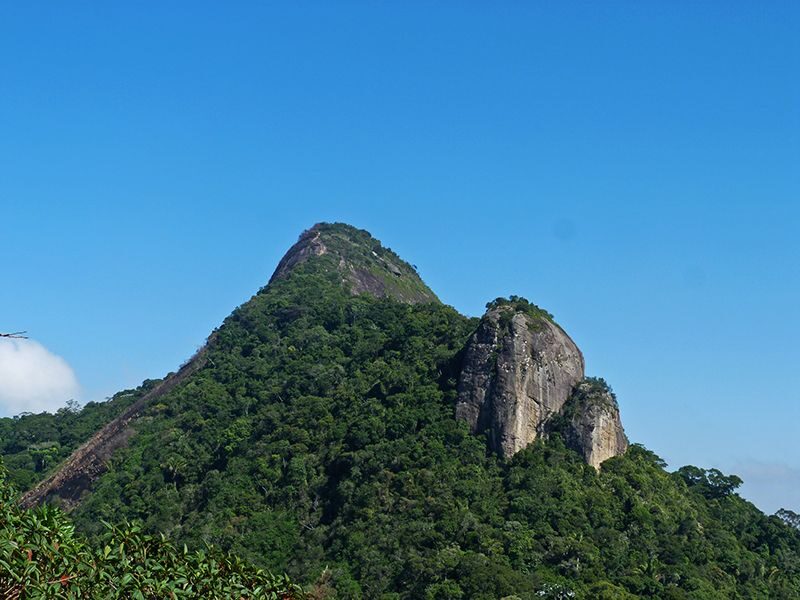 Rio de Janeiro: Tijuca Peak Guided Hike - To sum it up