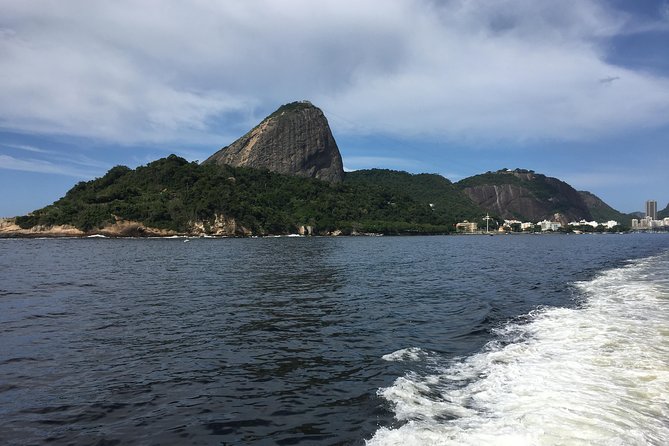 Rio From the Sea: Guanabara Bay Cruise With Optional Barbecue Lunch - Customer Feedback and Positive Comments