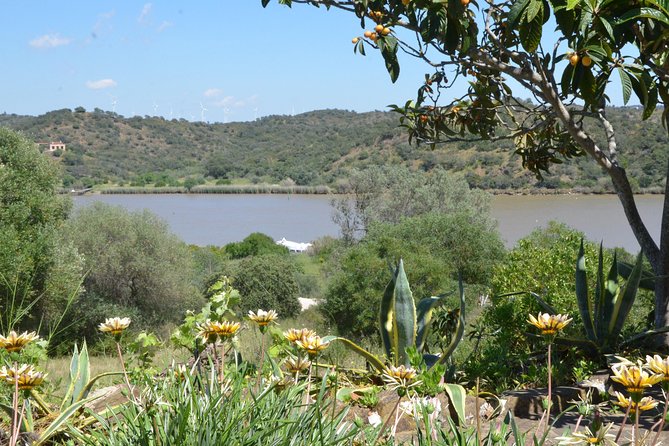 Rio Guadiana River Cruise - Transportation and Location