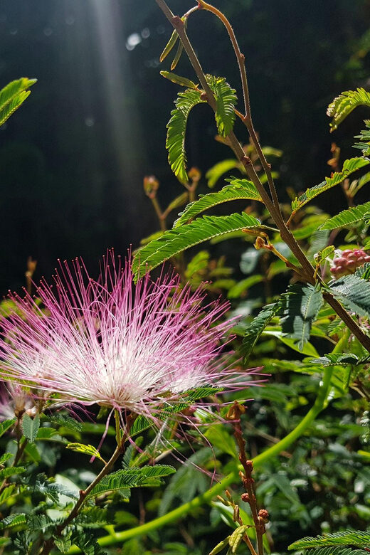 Rio: Hiking Adventure in Serra dos Órgãos National Park - Authentic Reviews and Traveler Feedback