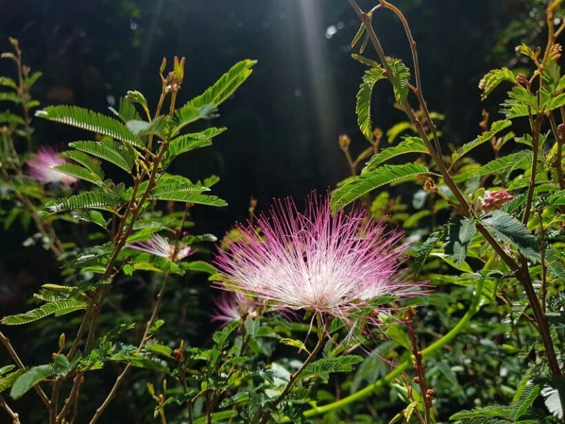 Rio: Hiking Adventure in Serra dos Órgãos National Park - Final Thoughts: Is This Tour Right for You?