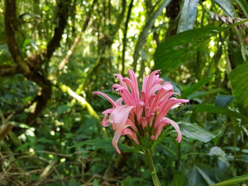 Rio: Hiking Adventure in Serra dos Órgãos National Park - Frequently Asked Questions