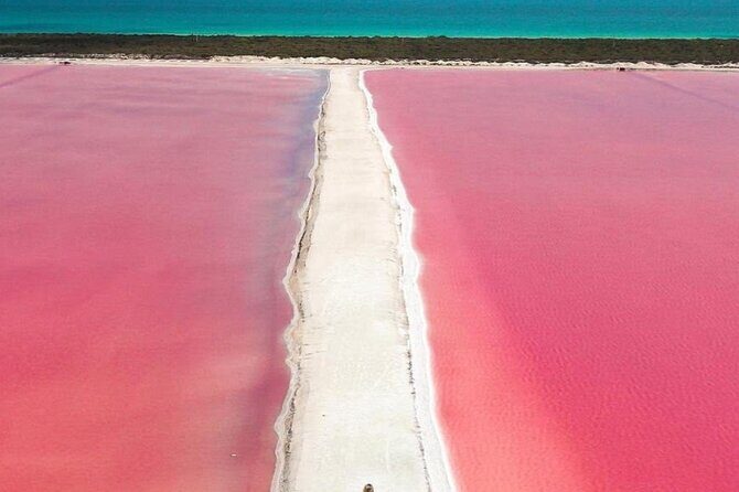 Rio Lagartos and Las Coloradas Day Tour from Cancun - Who Will Love This Tour?