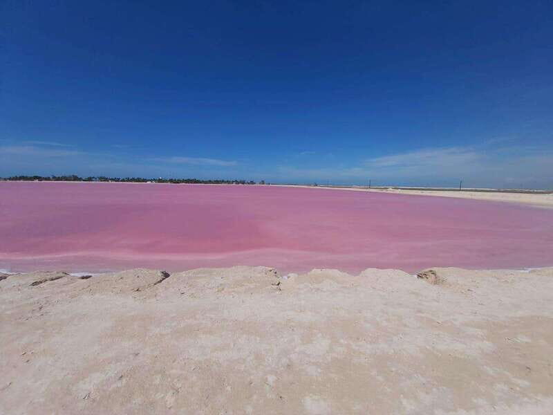 Rio Lagartos and Las Coloradas: EcoSafari Flamingo Luxury - Detailed Itinerary and Highlights