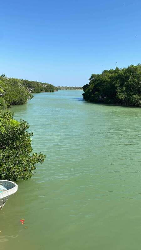 Rio Lagartos and Las Coloradas: EcoSafari Flamingo Luxury - Authentic Wildlife Encounters and Educational Value
