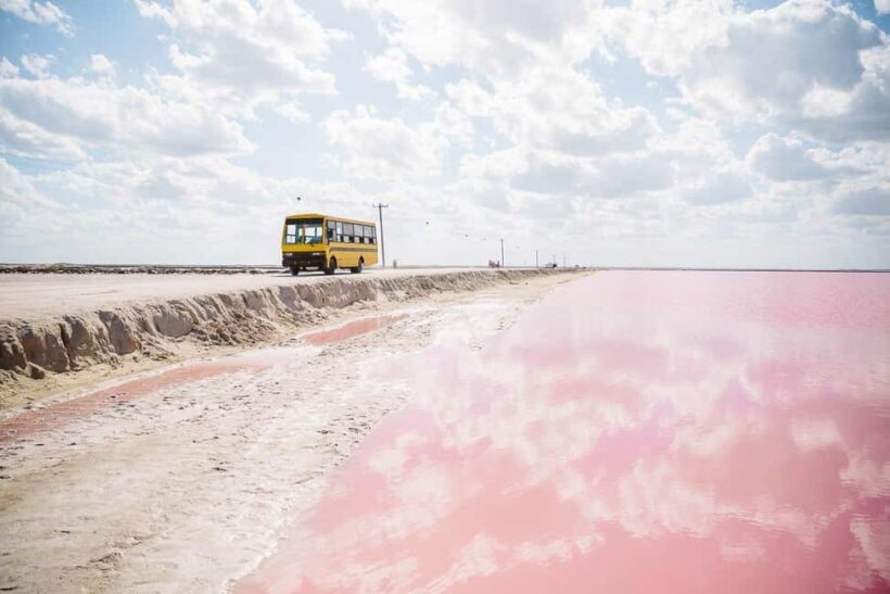 Rio Lagartos and Las Coloradas: EcoSafari Flamingo Luxury - The Verdict: Who Should Consider This Tour?