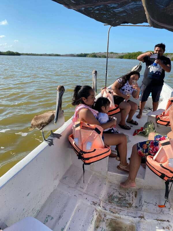 Rio Lagartos and Las Coloradas: EcoSafari Flamingo Luxury - Final Thoughts