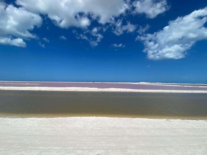Río Lagartos and Las Coloradas: Natural Experience - Key Points