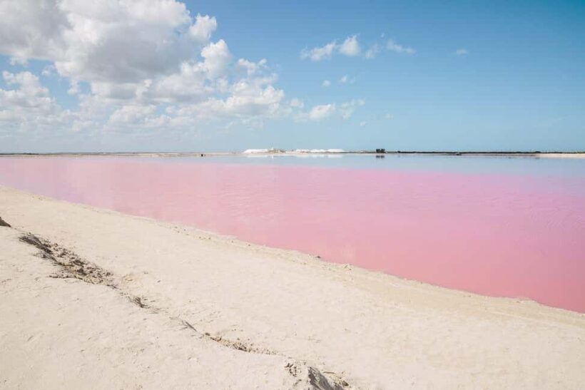 Río Lagartos and Las Coloradas: Natural Experience - A Deep Dive into the Río Lagartos and Las Coloradas Experience