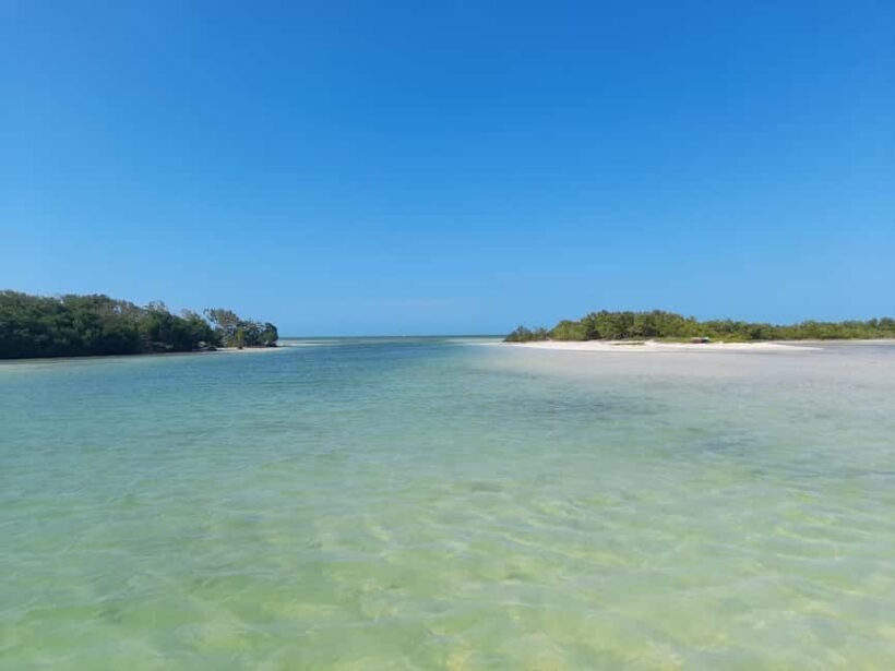 Rio Lagartos and San Felipe: Cerritos Island, adventure tour and Mayan culture. - FAQ