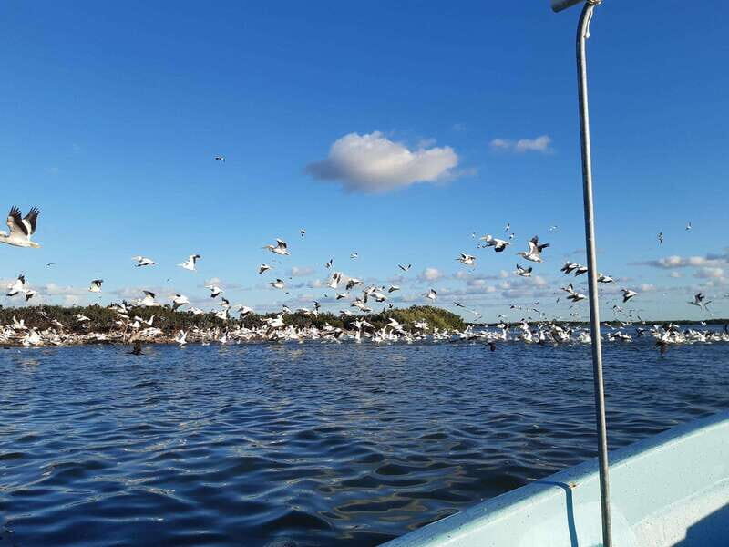 Rio Lagartos and San Felipe: Isla Cerritos, Cenote Kambulnah and Pesca. - A Full Breakdown of the Tour