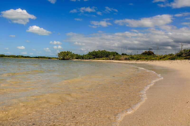 Rio Lagartos: Boat Tour through the Nature Reserve - Practical Details and Recommendations