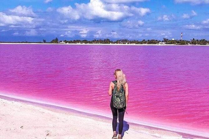 Rio Lagartos, Coloradas & Cancunito Beach from Merida - Itinerary Breakdown: What You’ll See and Do