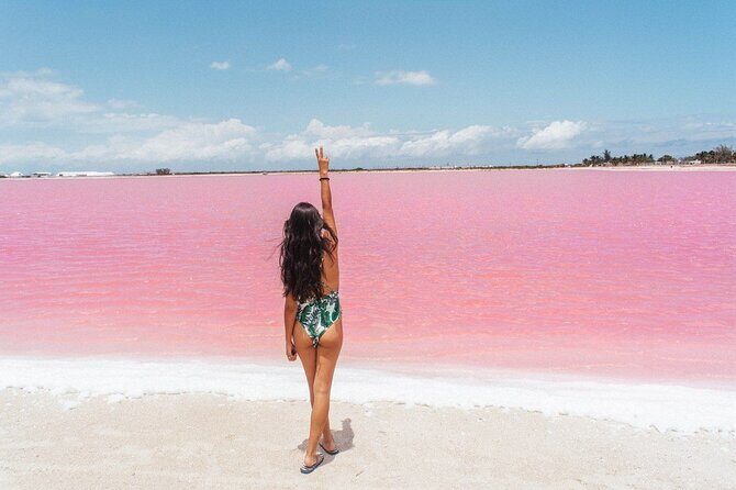 Rio Lagartos, Coloradas & Cancunito Beach from Merida - Reviews: Authentic Voices
