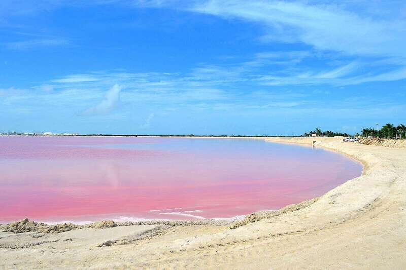 Rio Lagartos: Wondeful Pink Waters and Boat Ride - Key Points