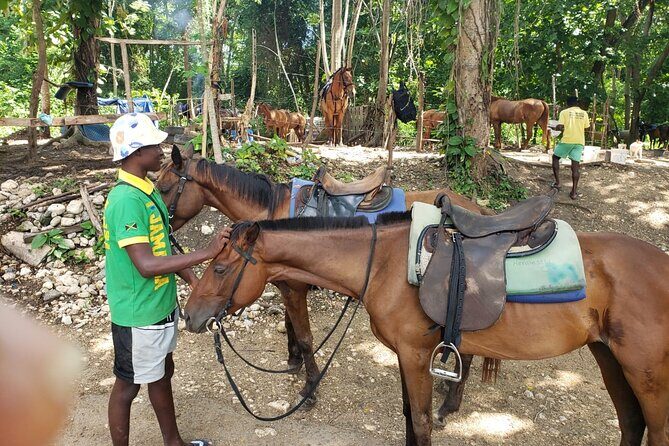 Rio Nuevo Jamaica Private Rafting Horse Ride Adventure - Authenticity and Customer Feedback