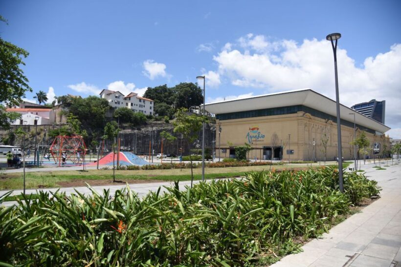 Rio: Olympic Boulevard, AquaRio and Museum of Tomorrow Tour - Exploring Rio’s Modern Heart