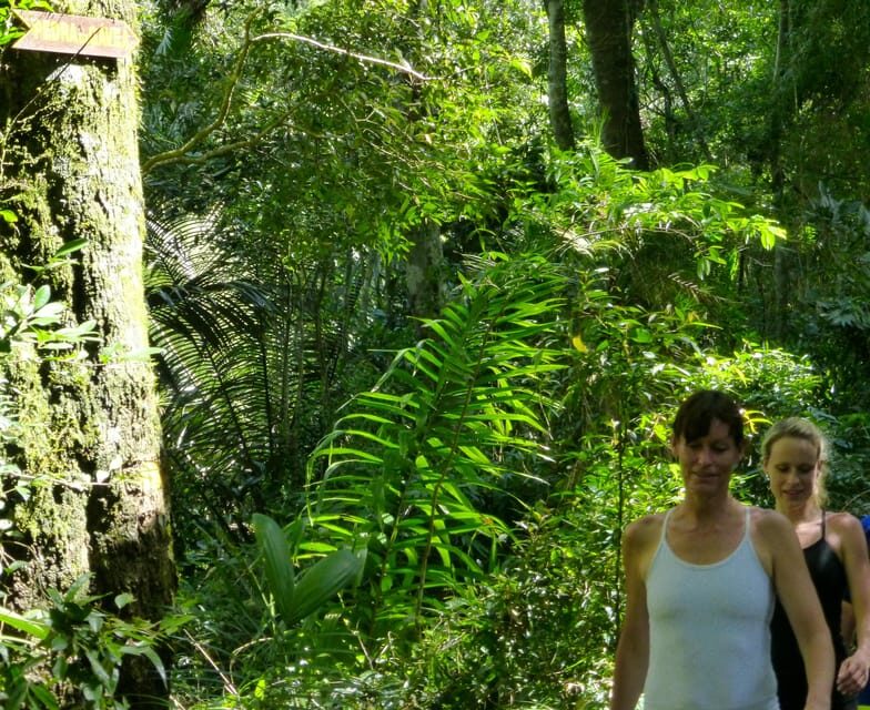 Rio: Pedra da Gávea - The Most Challenge Hike in Rio - What Past Participants Say