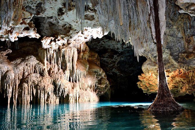 Rio Secreto Skip-the-Line Admission Ticket - Practical Details: Transportation, Cost, and Booking