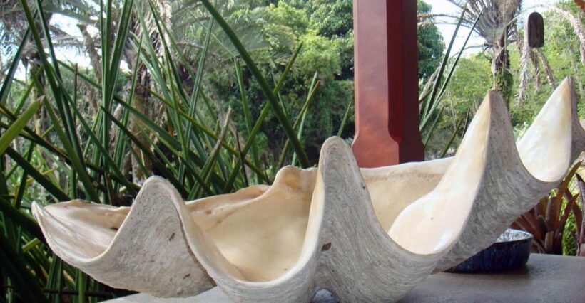 Rio: Sitio Burle Marx and Cachaça Distillery Private Tour - Key Points