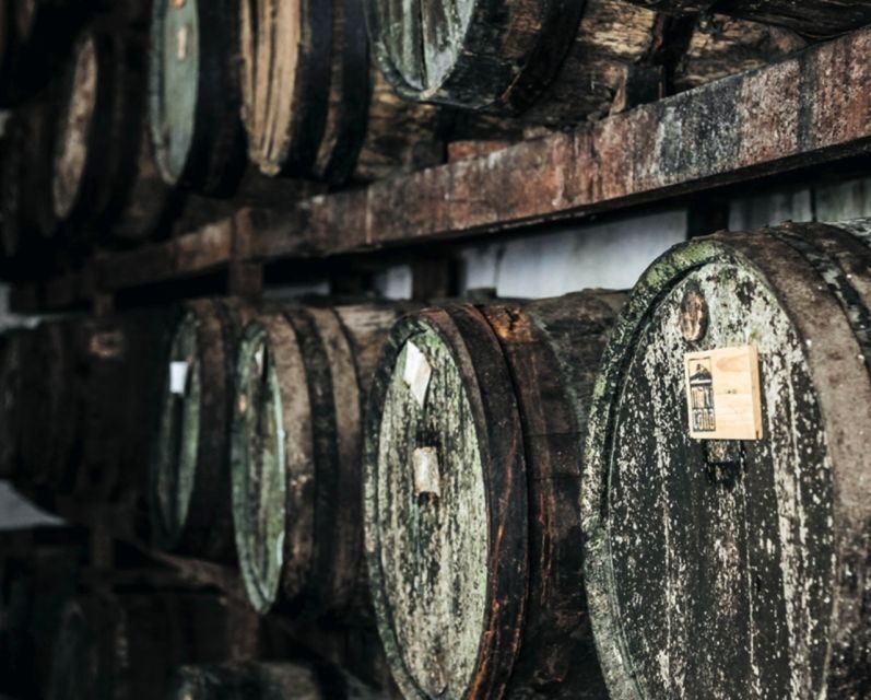 Rio: Sitio Burle Marx and Cachaça Distillery Private Tour - An In-Depth Look at the Experience