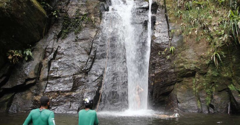 Rio: Tijuca Forest & Horto Waterfalls Circuit Tour - Introduction: A Refreshing Alternative to Rio’s Beaches