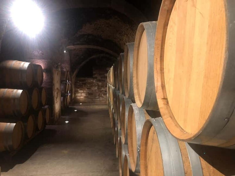 Rioja Day Tour: Explore Three Wineries with Tastings - An Authentic Journey Through Spain’s Most Famous Wine Region