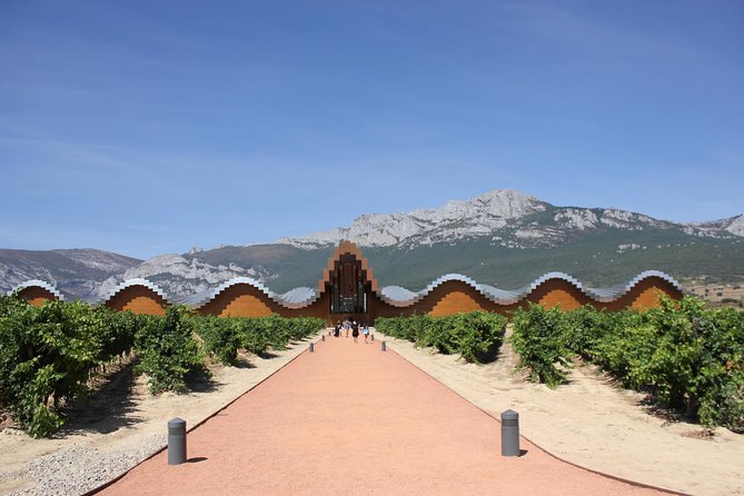 Rioja Full Experience Tour From San Sebastian With Lunch - About Your Stay