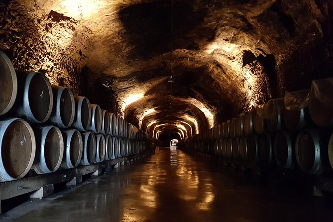 Rioja Full Experience Tour From San Sebastian With Lunch - Exploring the Wineries: A Guided Experience