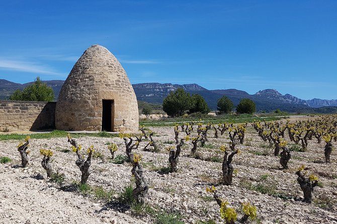 Rioja Full Experience Tour From San Sebastian With Lunch - Meet Your Guide: Expert Insights Into Wine and Culture
