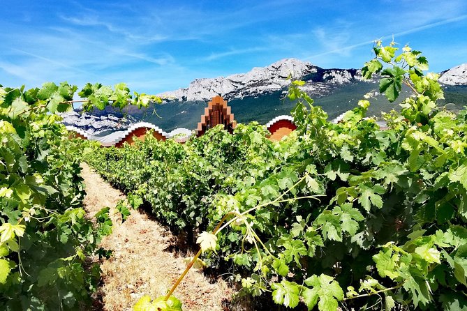 RIOJA UNCORKED - Private Enological Adventure - Customer Experiences and Testimonials