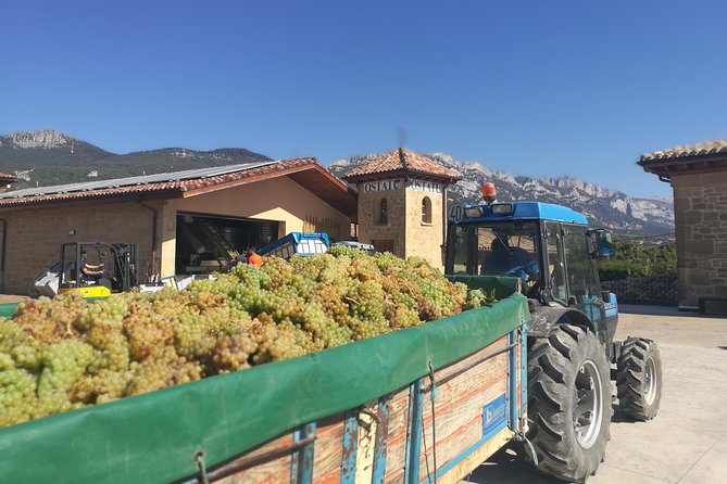 Rioja Wine Private Tour From San Sebastian - Tips for Making the Most of Your Tour