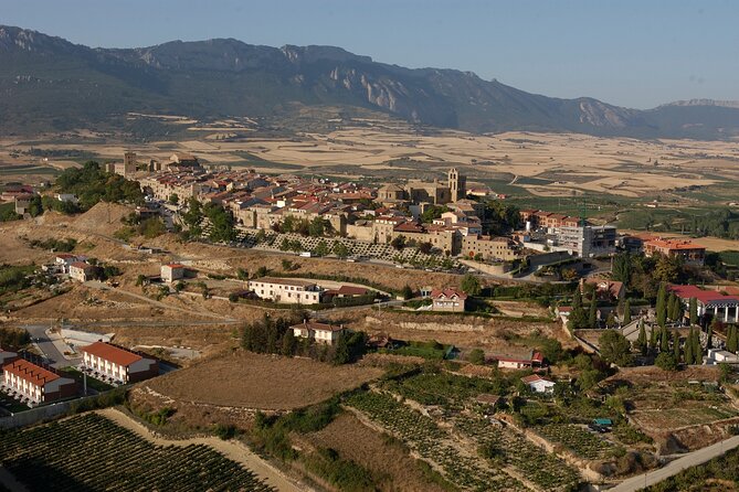 Rioja Wine Region With Visit to Winery & Vitoria-Gasreiz - Traveler Tips and Recommendations for the Tour