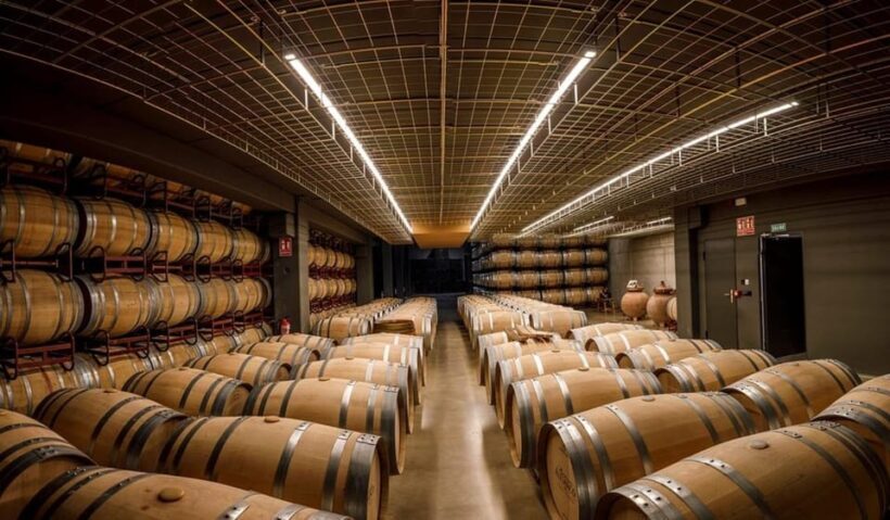 Rioja: Wine tasting and sampling at the Martínez Alesanco family winery - What makes this winery visit special